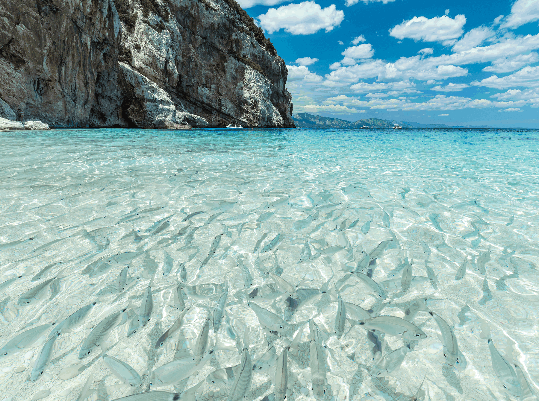 Galerie - Palazzo Cherchi