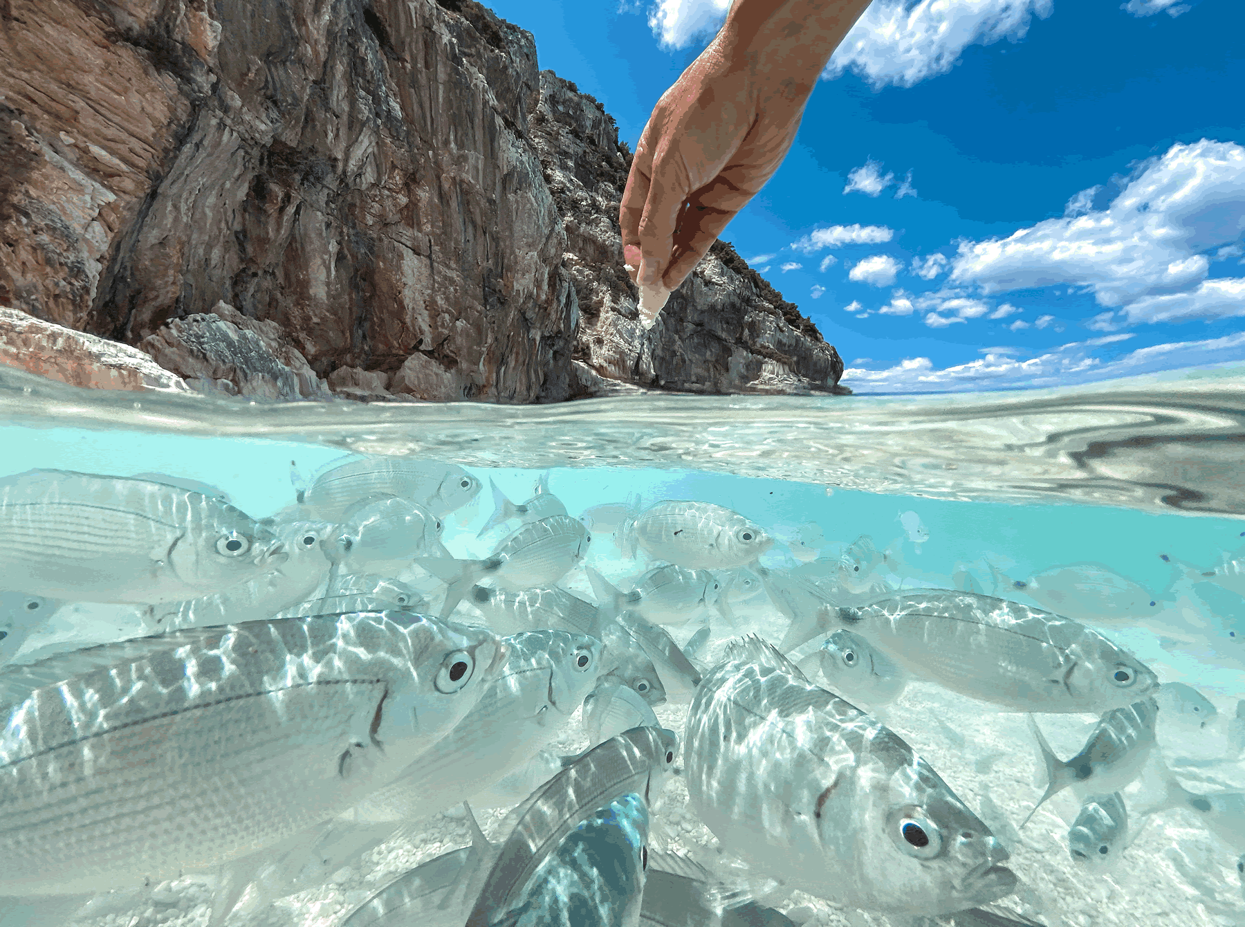 Gallery - Palazzo Cherchi